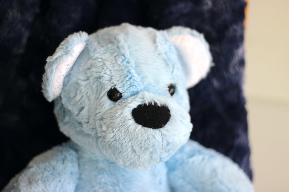 Video: How to Make a Teddy Bear Stuffed Animal with Cuddle® Minky Plush ...