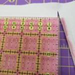 Sew Cuddly Book Blog Hop: Shannon Fabrics + Linda Lingner - Cuddle Bath Mat