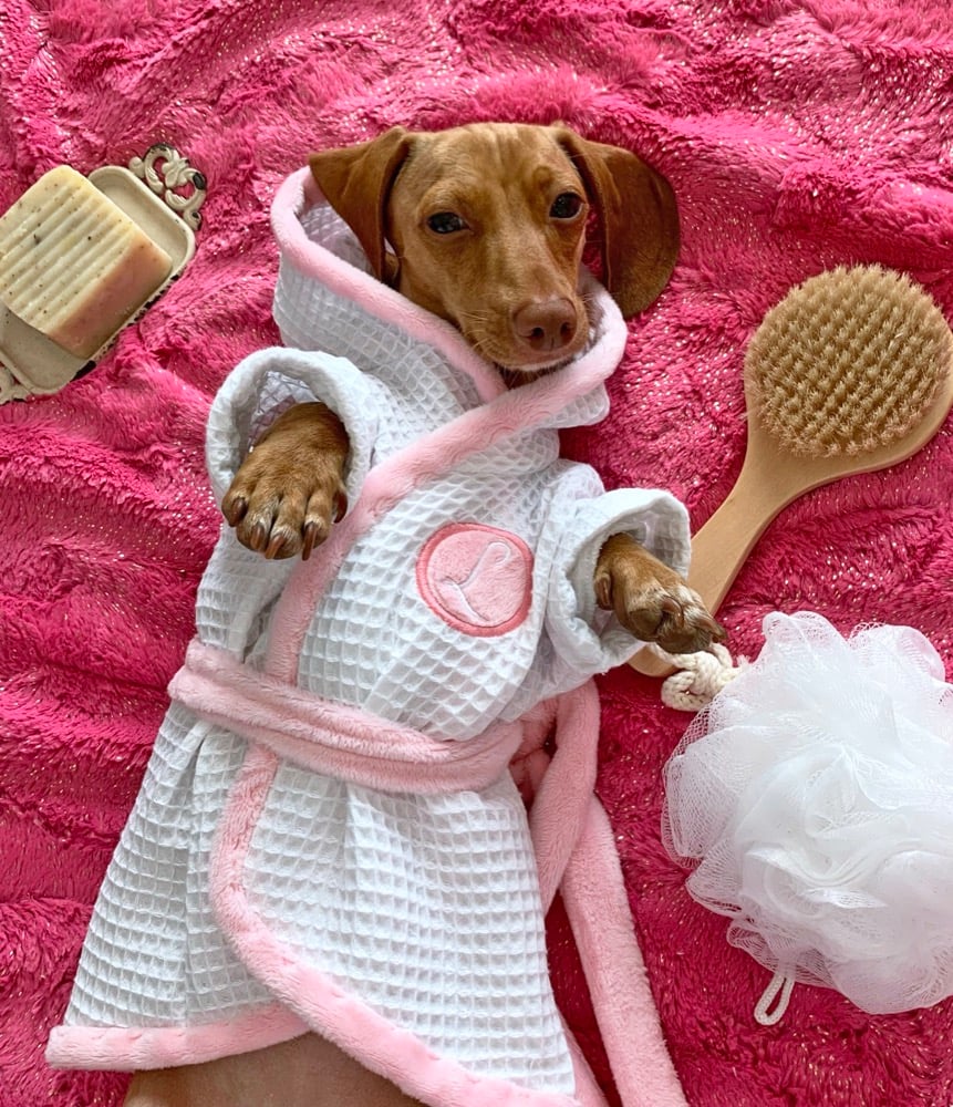 How to Make a Puppy Spa Robe with Cuddle® Minky and Waffle Terry Cloth ...